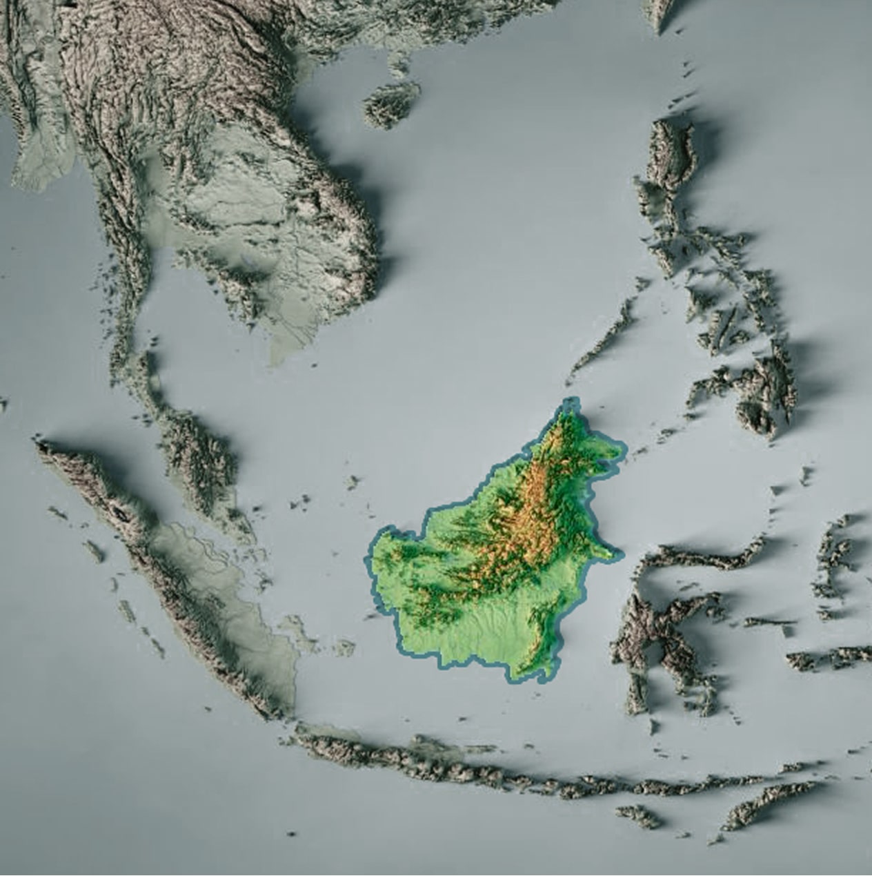 Explore Borneo Sarawak - Cat City Holidays